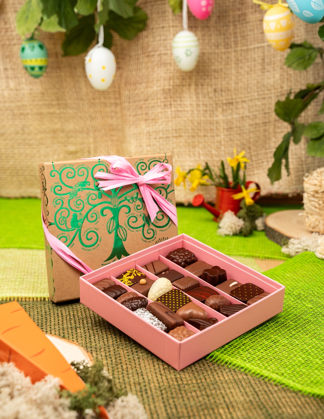 Chocolaterie Beussent Lachelle|Planteur Chocolatier|Tree to Bar