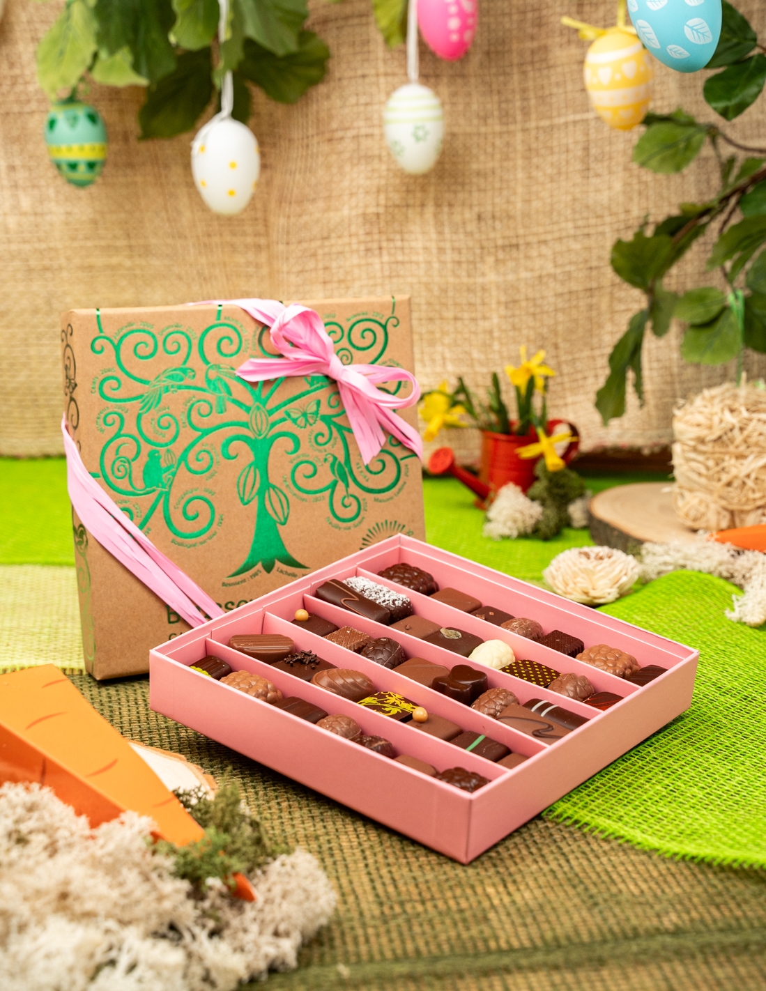 Chocolaterie Beussent Lachelle|Planteur Chocolatier|Tree to Bar